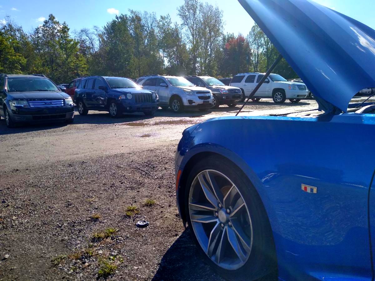 This Week's Auction Specials: Time to take full advantage of the public ...