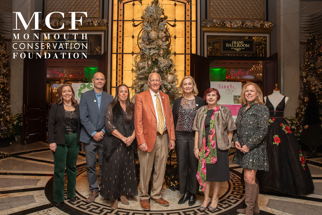 MCF’s December News & Events