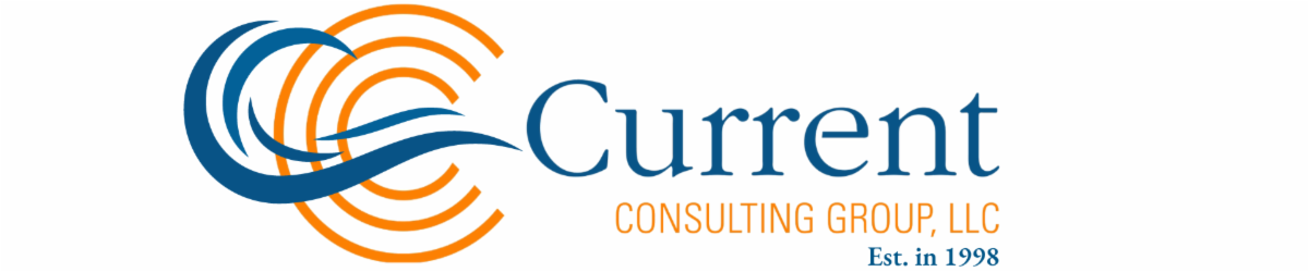 Current Consulting Group Welcomes Robin Schelling to the Team