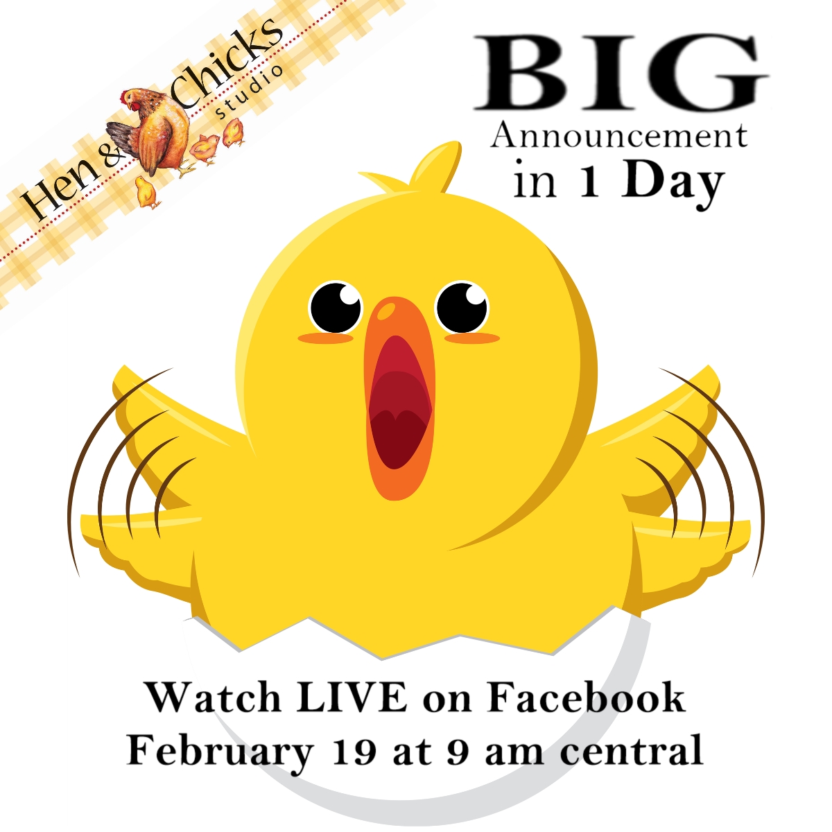 Video Invitation to Exciting Announcement at Hen & Chicks Studio