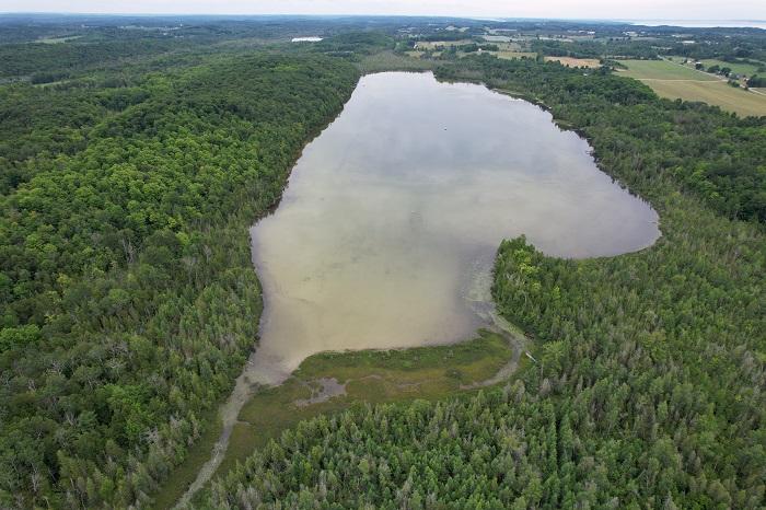 Woodland Drive easement; Multi-sensory museum exhibit; Stephen Kircher ...