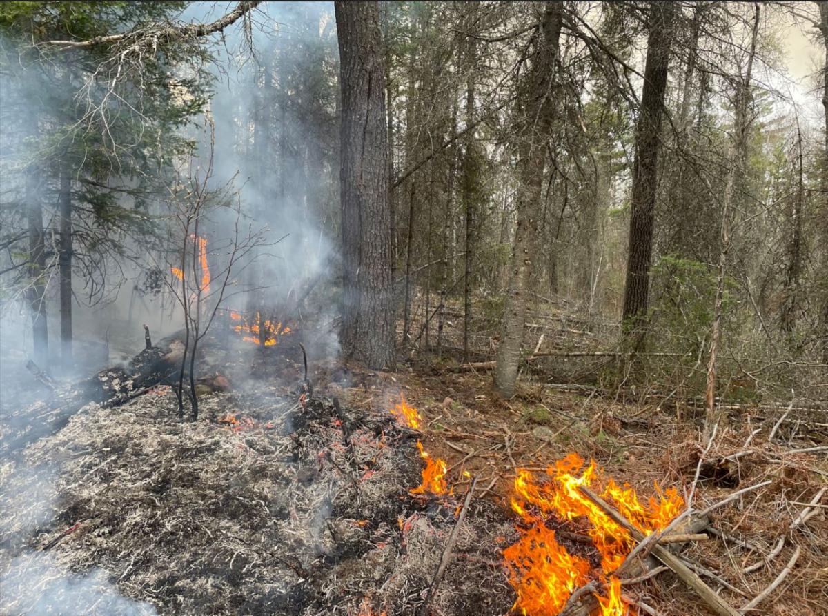 Fry Fire Update-May 16, 2024-Tofte Ranger District