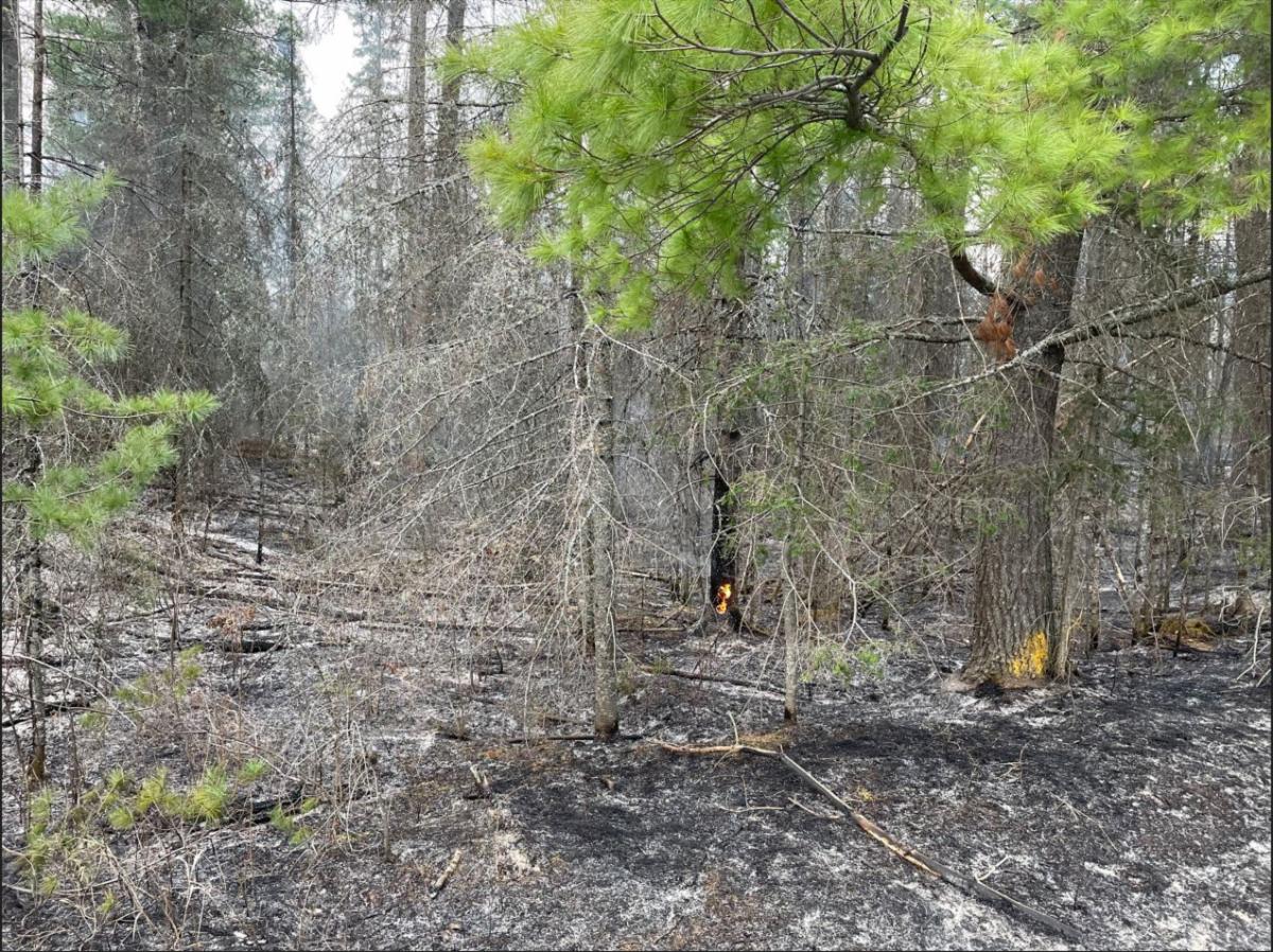 Fry Fire Facts Sheet-May 16, 2024, 4:00 p.m.