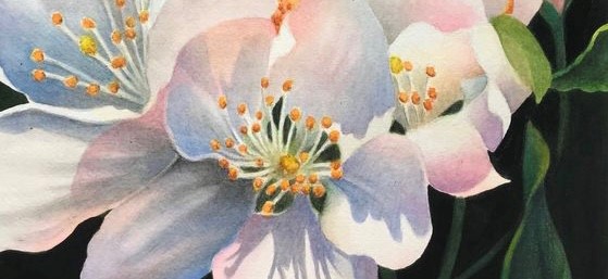 Check out the new Classes & Workshops offered at Main Street Gallery!