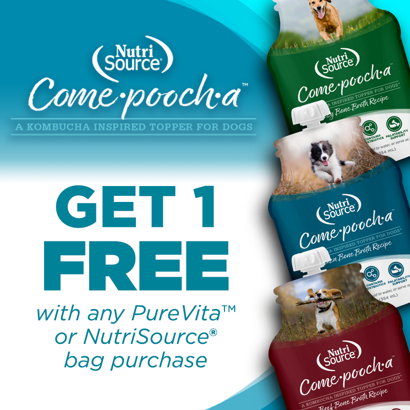 Summer Savings You Can't Miss