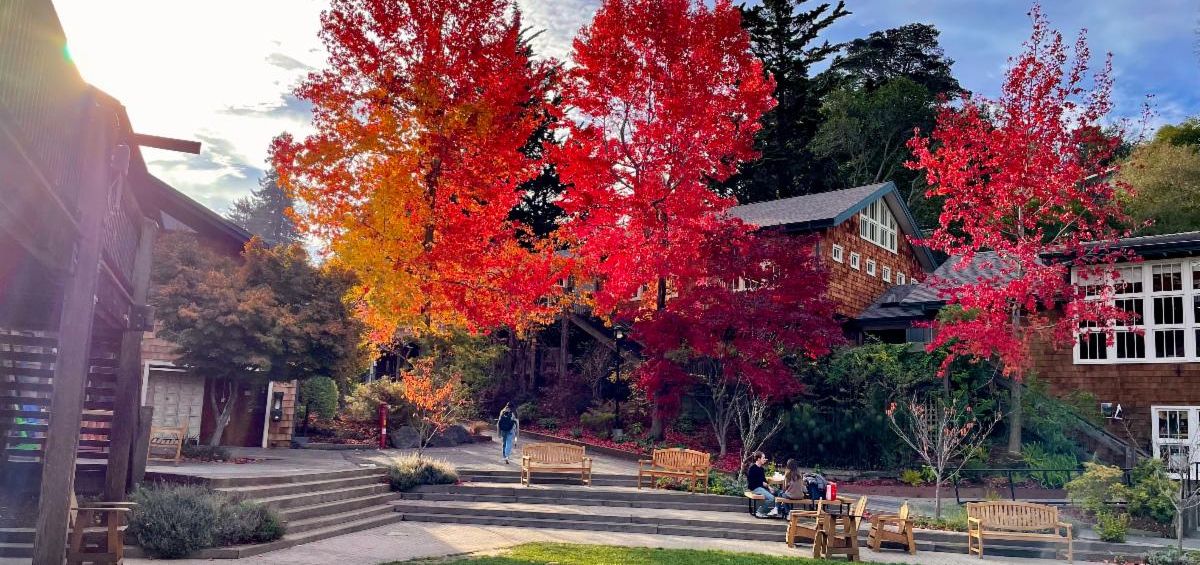 November College Prep Admission Notes