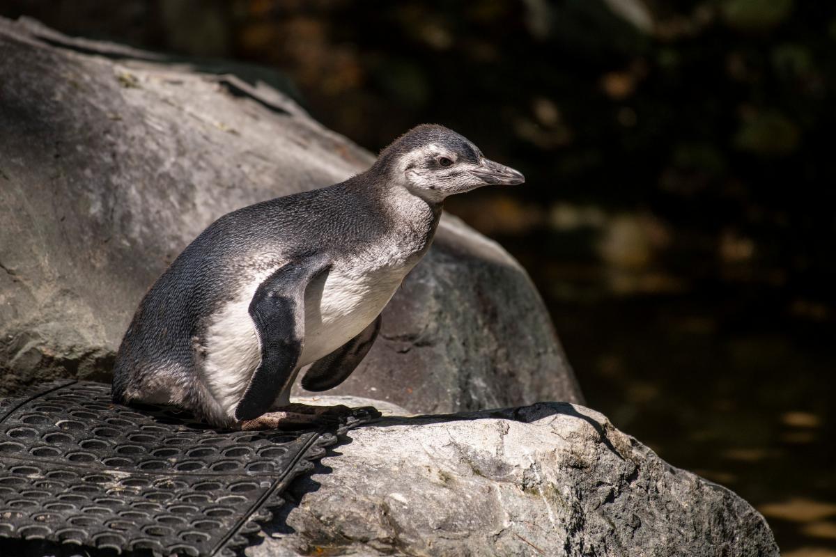 Summer's Not Over Yet!