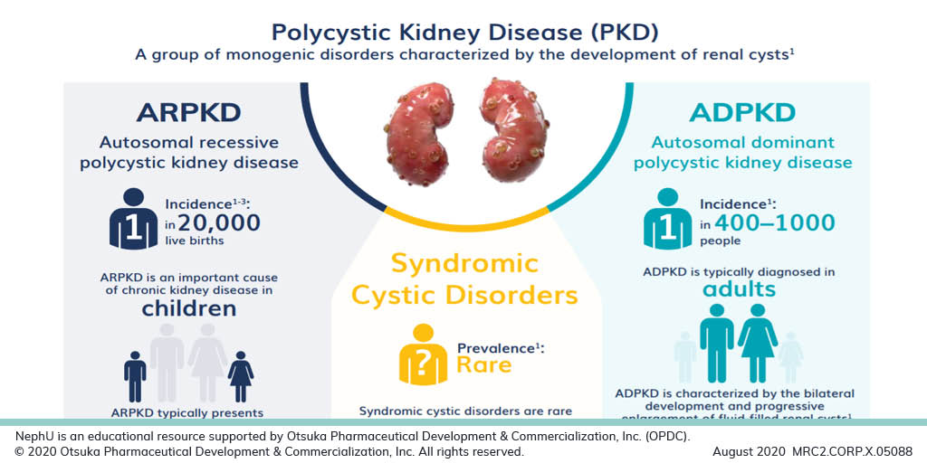 March is National Kidney Month