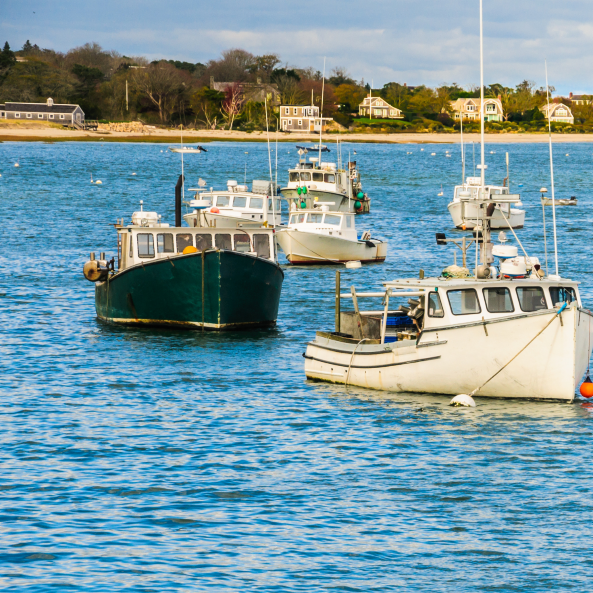 Barnstable County News | Edition 23 | *Corrected Calendar Dates