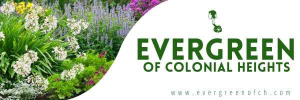 30% OFF Perennials & Important Reminder!
