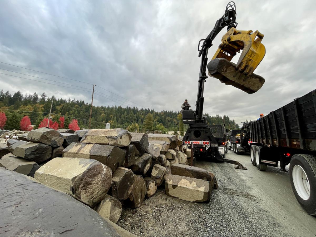 Rock steady this summer!