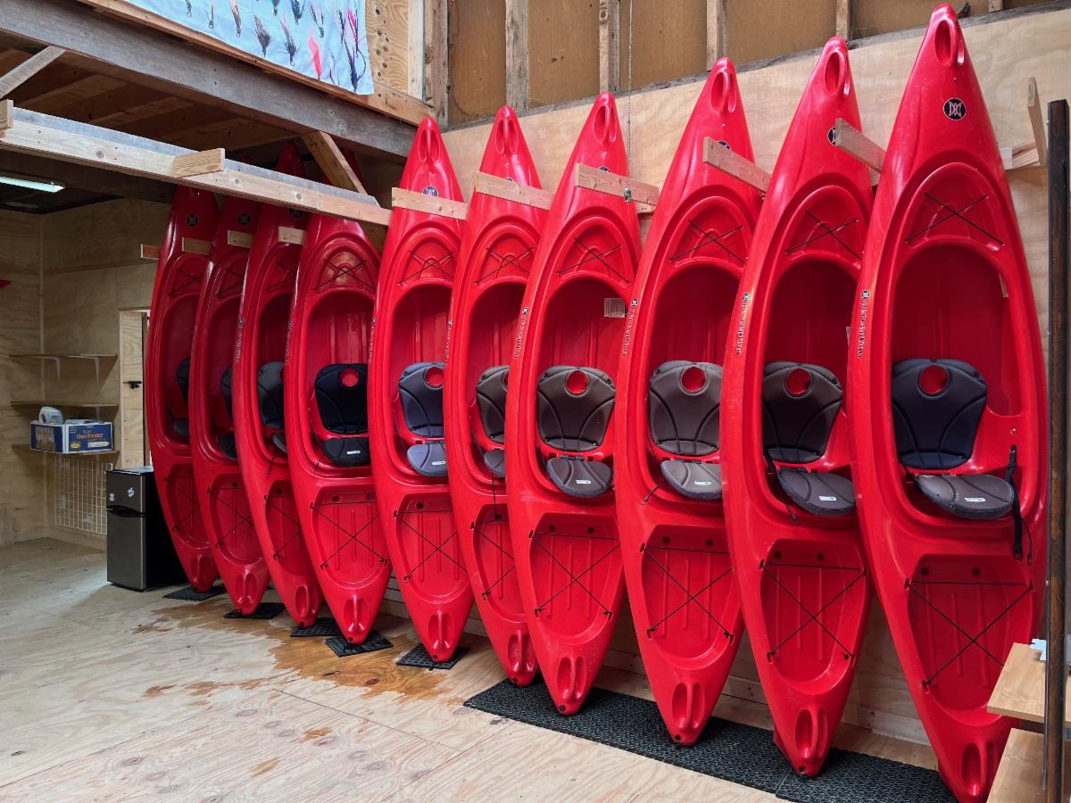 Zaloo's Summer Season & Father's Day are HERE!