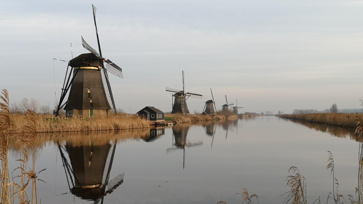 News from Field Guides (July 2022)