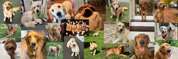 - Your End-of-year Gift Can Change Lives!