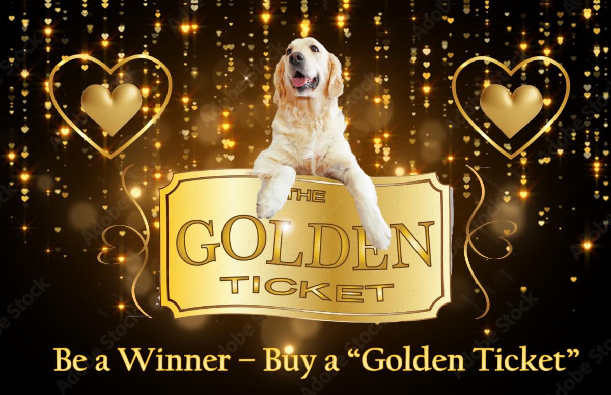 News and Updates from As Good as Gold for You