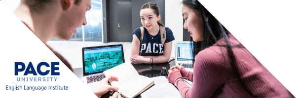 Learn about our English and Professional Skills Courses