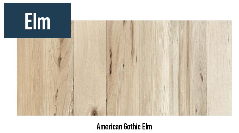 Dare to be Different; Top 5 Oak Alternatives