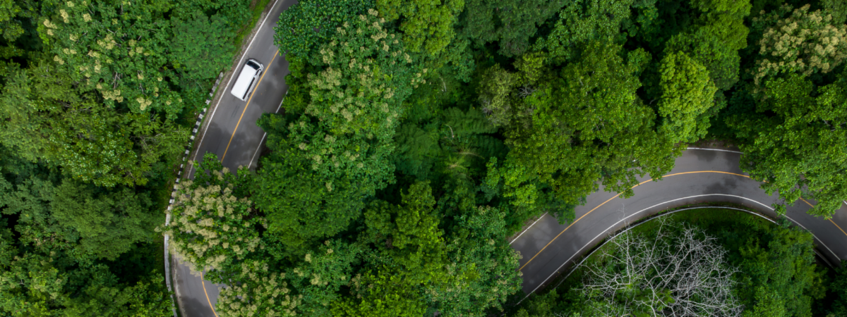 Order DASH for insurance history reports