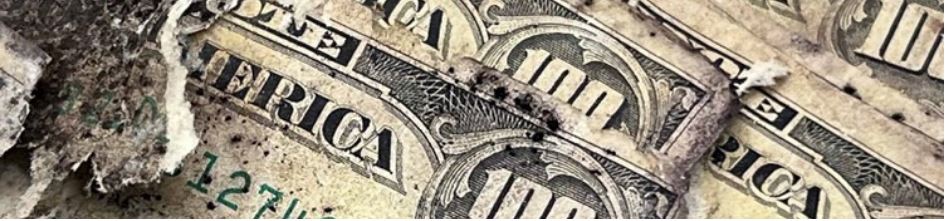 The Dime Bank Newsletter - April 2023