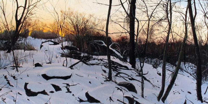 Life in the Woods paintings by Kevin Muente