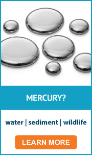 Arsenic in Fireworks