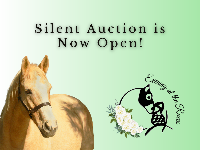 Silent Auction Now OPEN