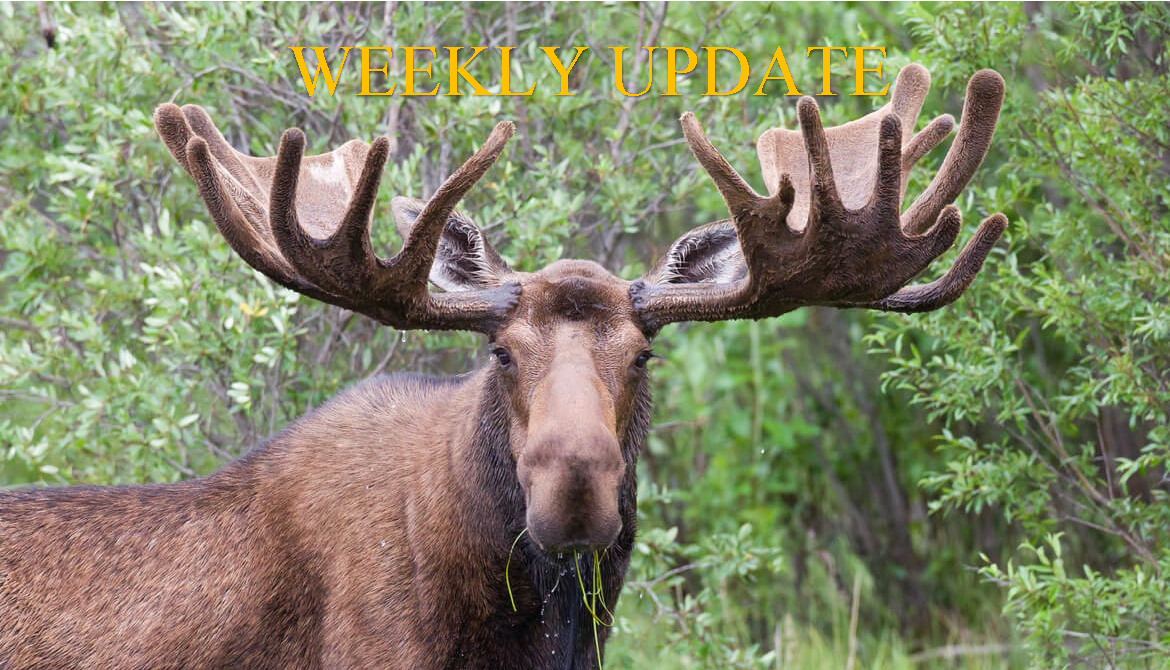 Drawing Winners, Lunch Specials & Other Stuff