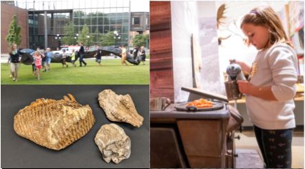 Welcome to our email list! Summer family programs start Saturday