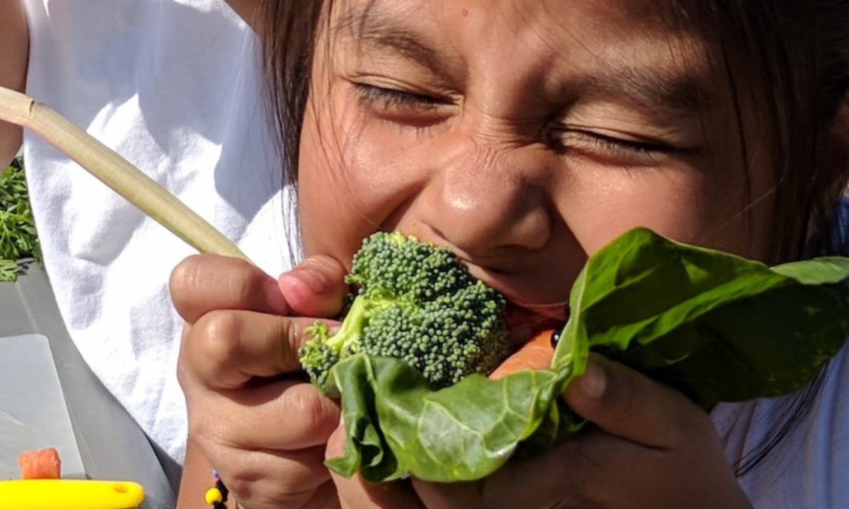 Seeds of Kindness & Blossoms of Generosity