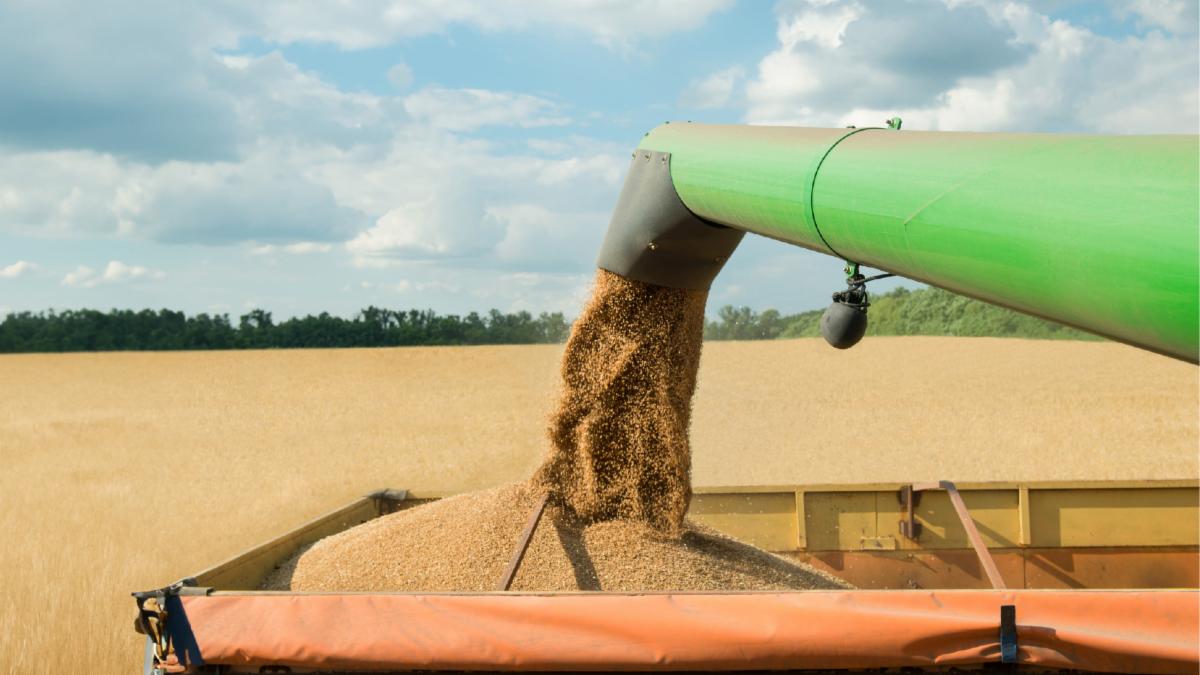 Export ready crops, carbon capture, and Outstanding Young Farmers