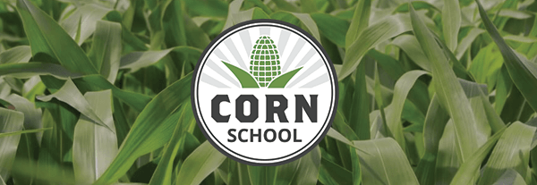 A plan for disease prevention