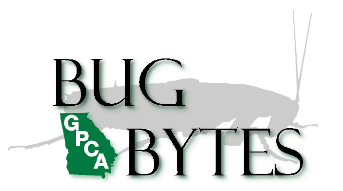 2022 Vol 2 Bug Bytes