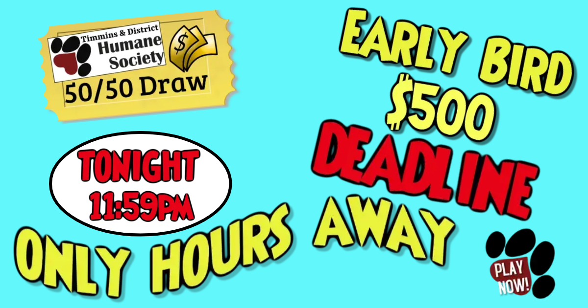 Will You Be Our Early Bird Winner?