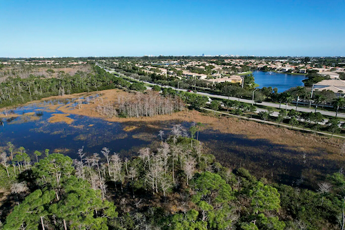 Protect the Everglades | Your Healthcare Future | Reducing Local Control