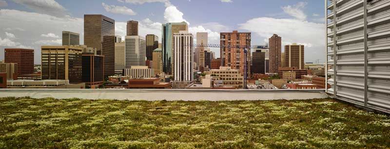Denver Zoning Code bundle of text amendments expected to go before City ...