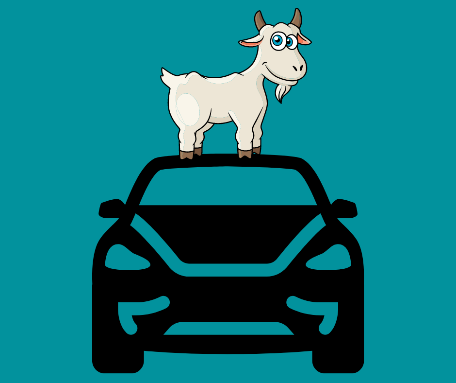 We interrupt your doom scrolling with a message from reality