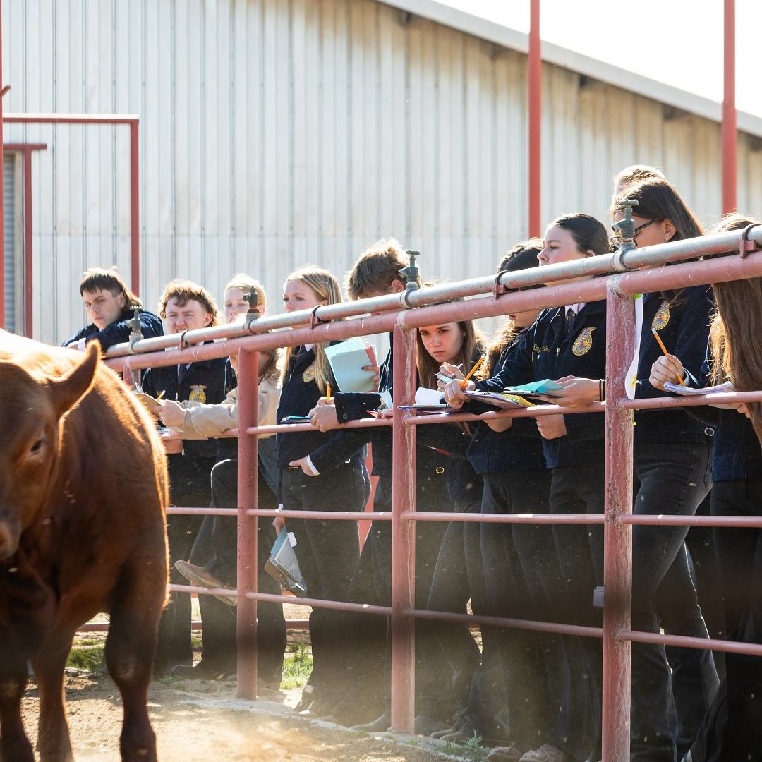 FFA News: State Officer Tribute, State Finals Results & More