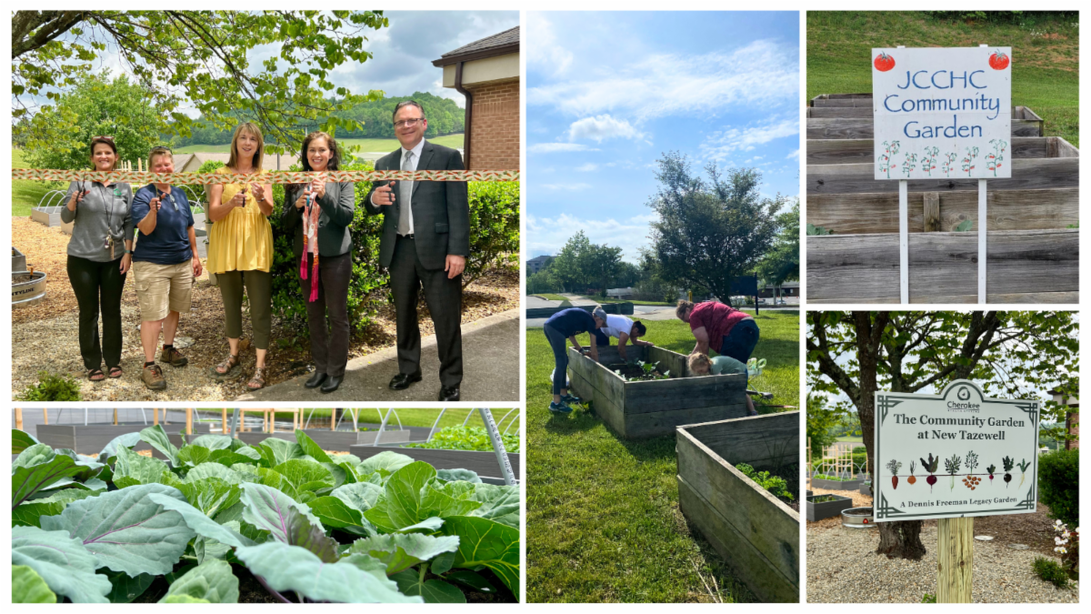 🌱 New Community Gardens