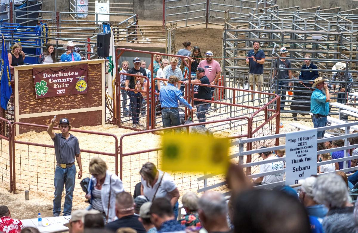 Deschuting the Breeze