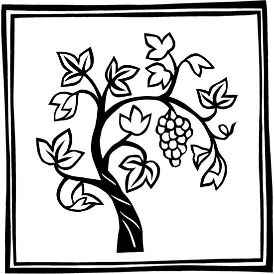 Acacia Park Newsletter