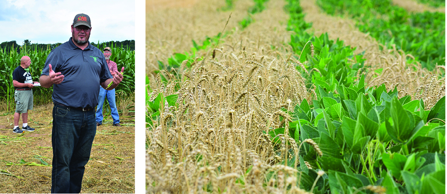 No-Till Alliance Monthly Newsletter