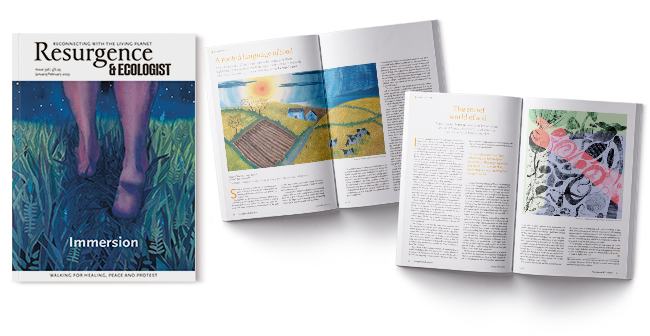 Latest issue of Resurgence & Ecologist out now: Immersion