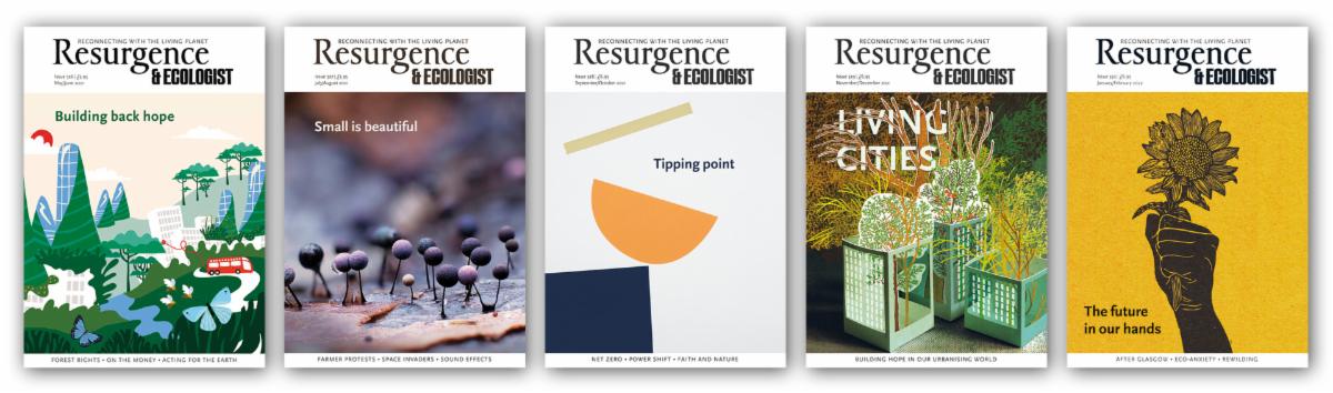 Connection Creates Change