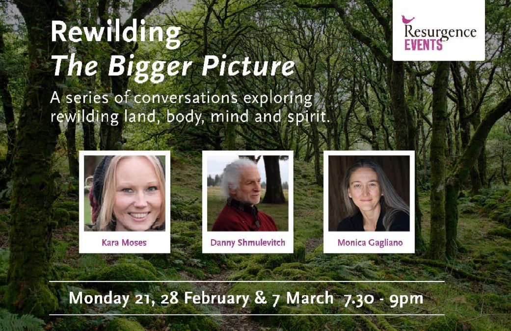 Connection Creates Change