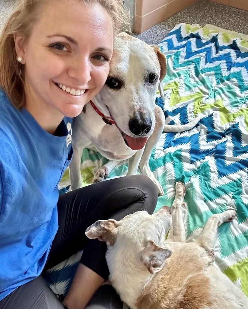 OCAS Monthly | October 2023