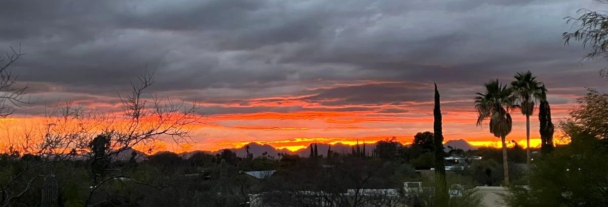 HOA Spring Newsletter - May 2023