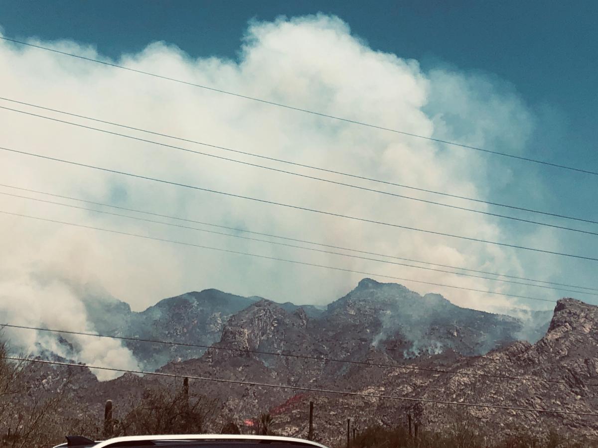 HOA Spring Newsletter - May 2025