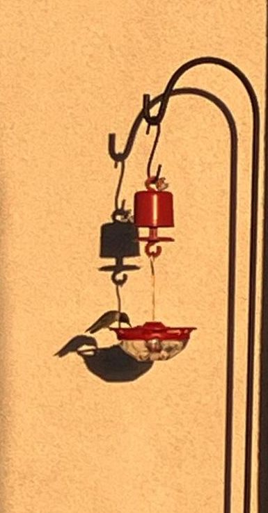 HOA Spring Newsletter - May 2023