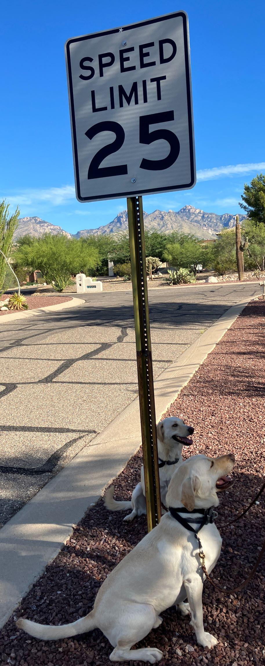 HOA Newsletter - Spring 2024