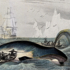 This Week in The Park: Whaling, Military and Lighthouse Themed Boat ...